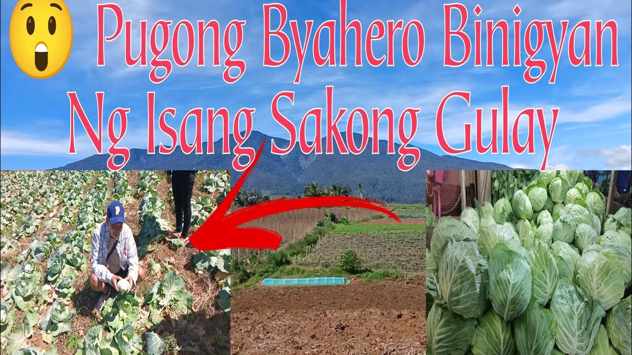 GRABI PUGONG BYAHERO BINIGYAN NG ISANG SAKONG GULAY - YouTube