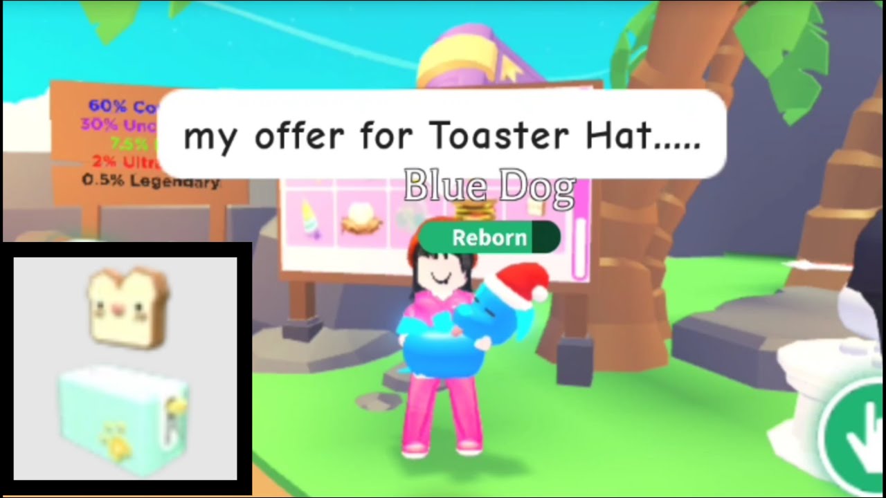 my offer for *Toaster Hat* pet wear 🐏😋 - YouTube