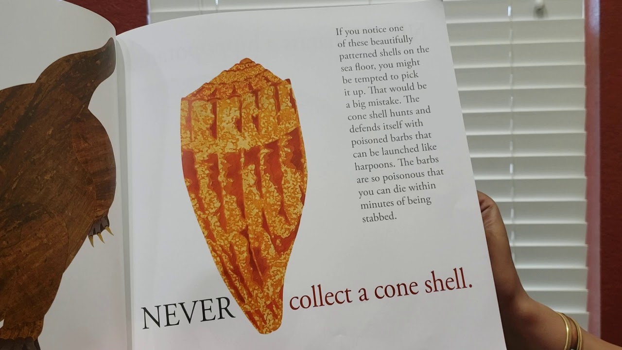 Never smile at a monkey - YouTube