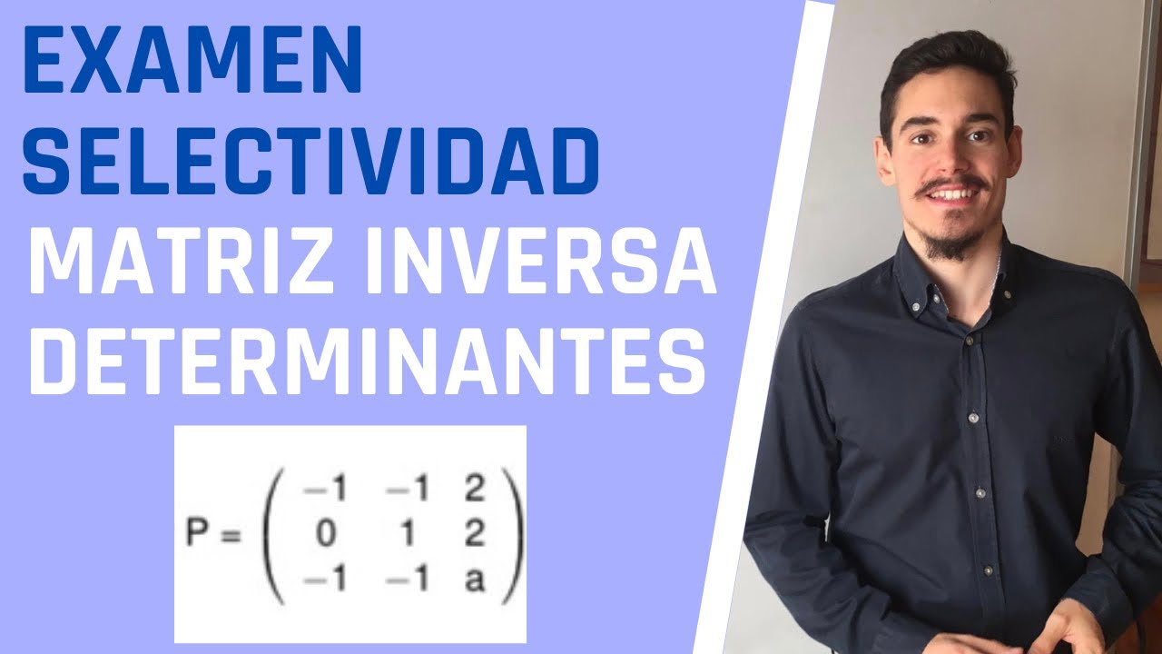 INVERSA DE UNA MATRIZ Y PROPIEDADES DE LOS DETERMINANTES - EJERCICIO ...