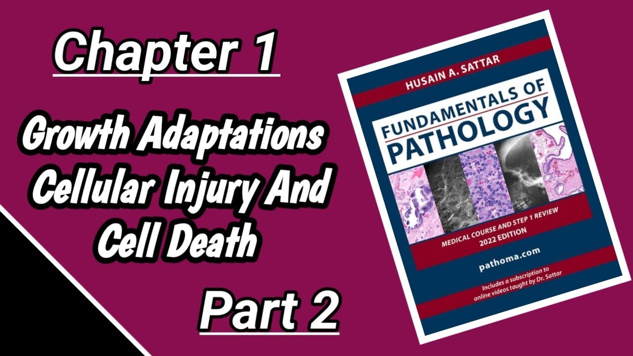 Pathoma || Chapter 1 Growth Adaptations Cellular Injury And Cell Death ...