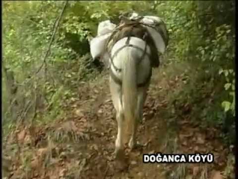 Gazipaşa Doğanca Köyü Tanıtım Filmi (III. Kısım)