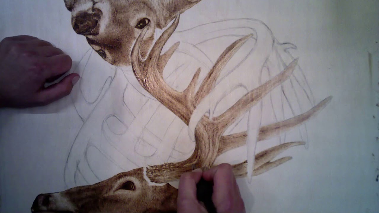 Woodburning Timelapse Whitetail deer fight 32x26 inches approx 60 hours ...