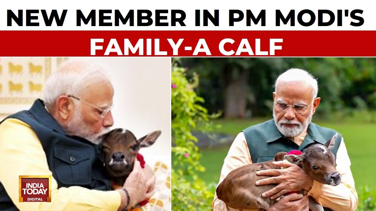 PM Modi Welcomes New Member 'Deepjyoti' To Family, Shares Video | India ...