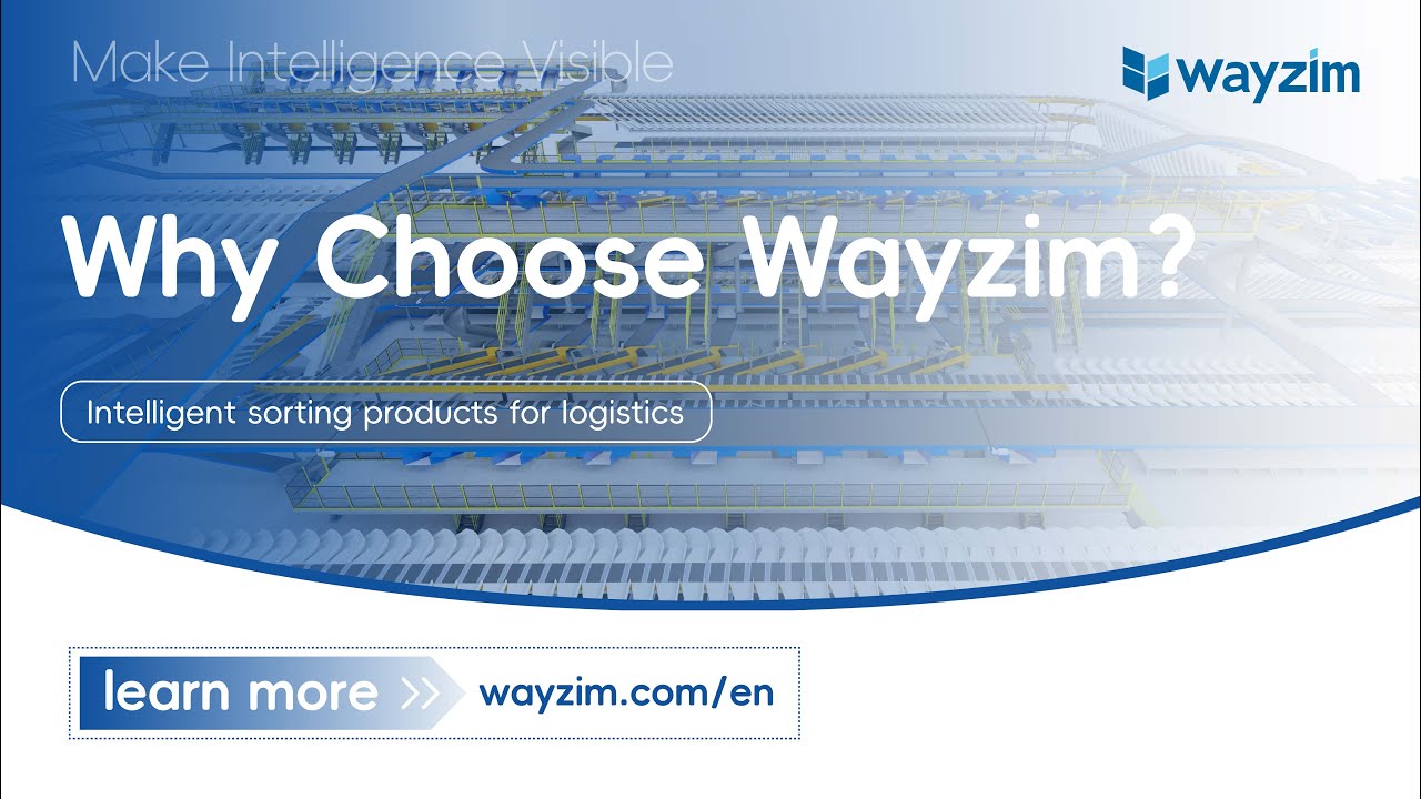 Why Choose Wayzim? Intelligent Sorting Products for Logistics - YouTube