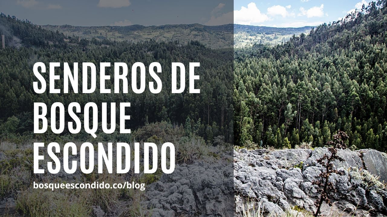 Senderos de Bosque Escondido - YouTube