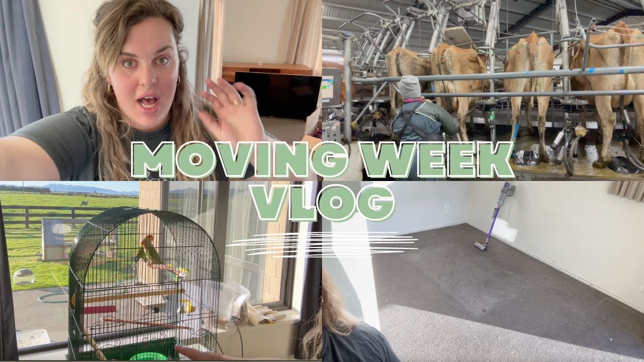 Moving Week Vlog & More | Miscellaneous Mabel - YouTube