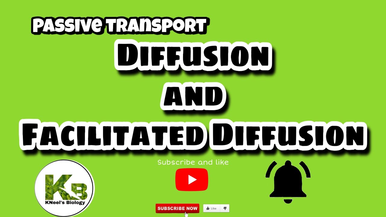 Diffusion and Facilitated Diffusion । Parts of Passive Transport - YouTube