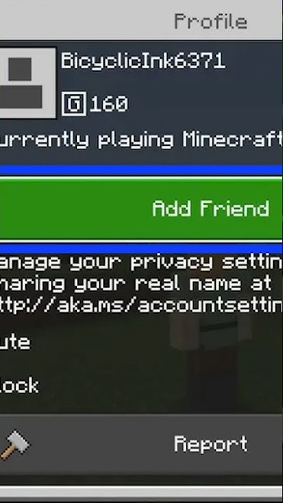 How to Accept Friend Requests on Minecraft 👥 - YouTube
