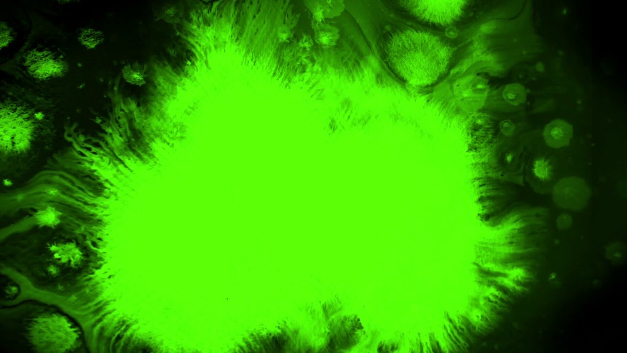New green screen ink drop | Best green screen ink splatter | INK ...