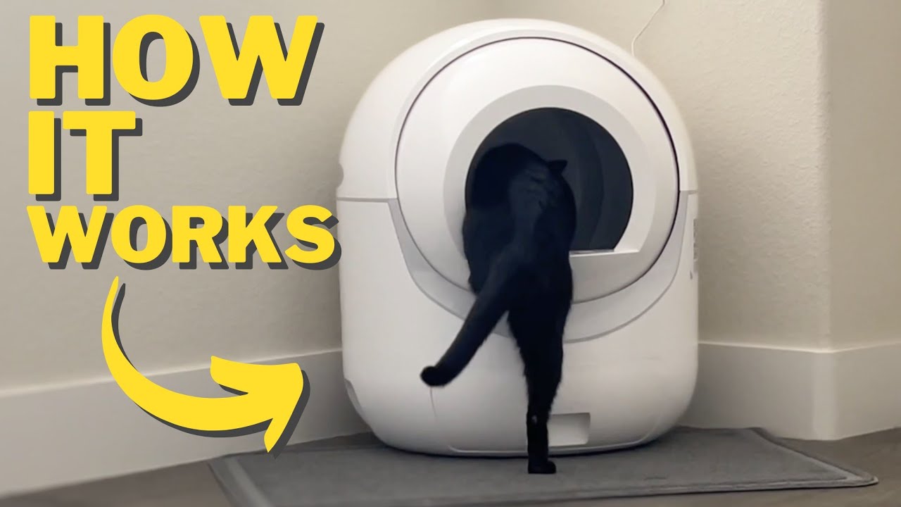 How A Cat Uses The Cleanpethome Automatic Litter Box - YouTube