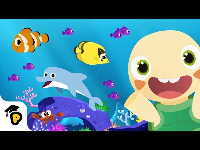 Baby Sea Creatures Cartoon