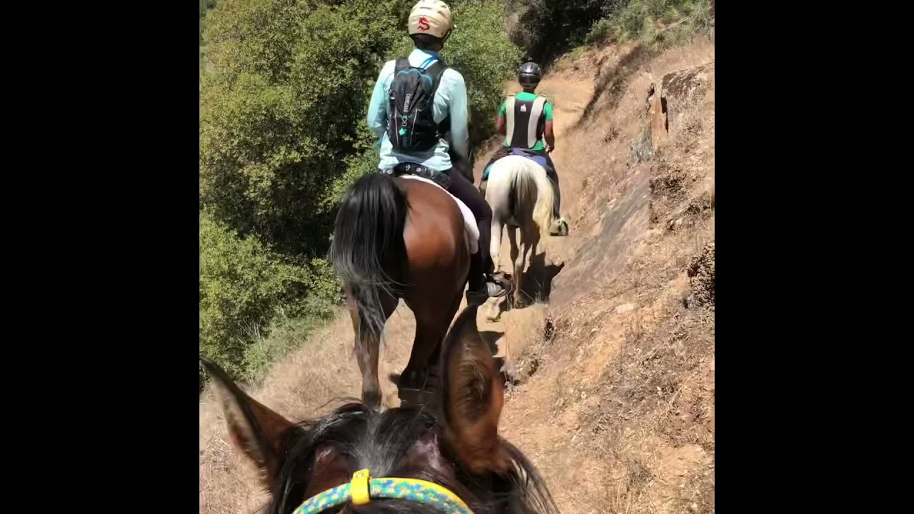 Tevis Cup - California Loop - YouTube