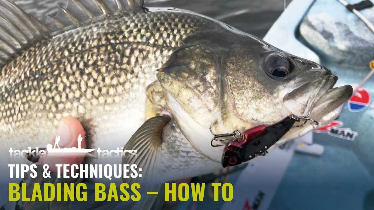 How to Catch Bass on Blades - Fishing the TT Switchblade - Tips ...