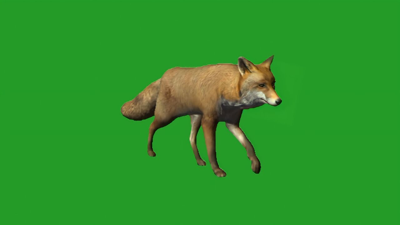 Fox green screen 19 pose/fox animal green screen/animal cartoon fox ...