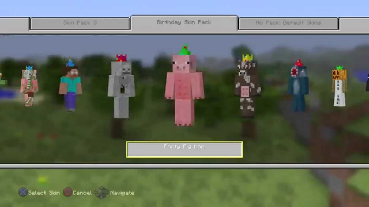 MINECRAFT BIRTHDAY SKINS PACK - YouTube