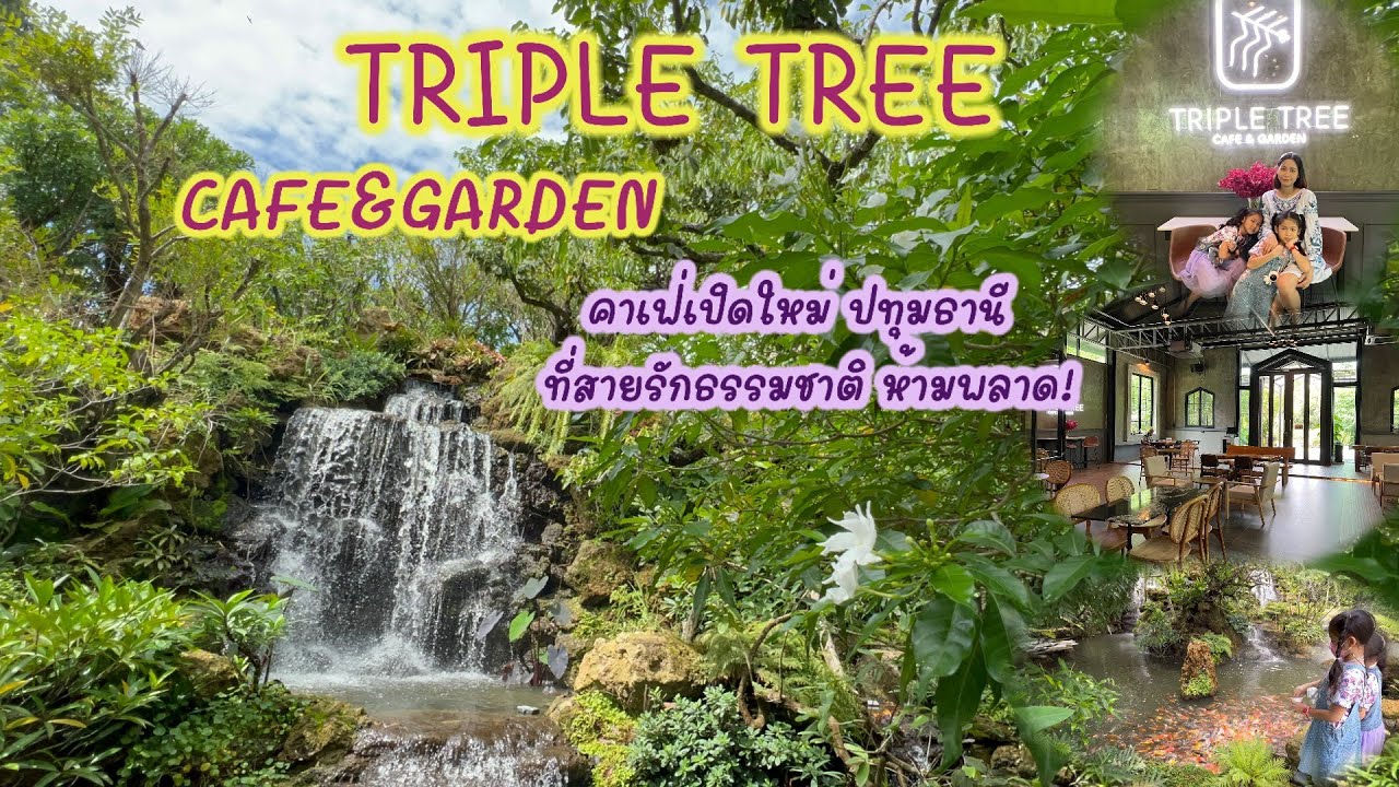 Triple Tree Cafe & Garden คาเฟ่เปิดใหม่ สายรักธรรมชาติ รับรองไม่ผิดหวัง ...