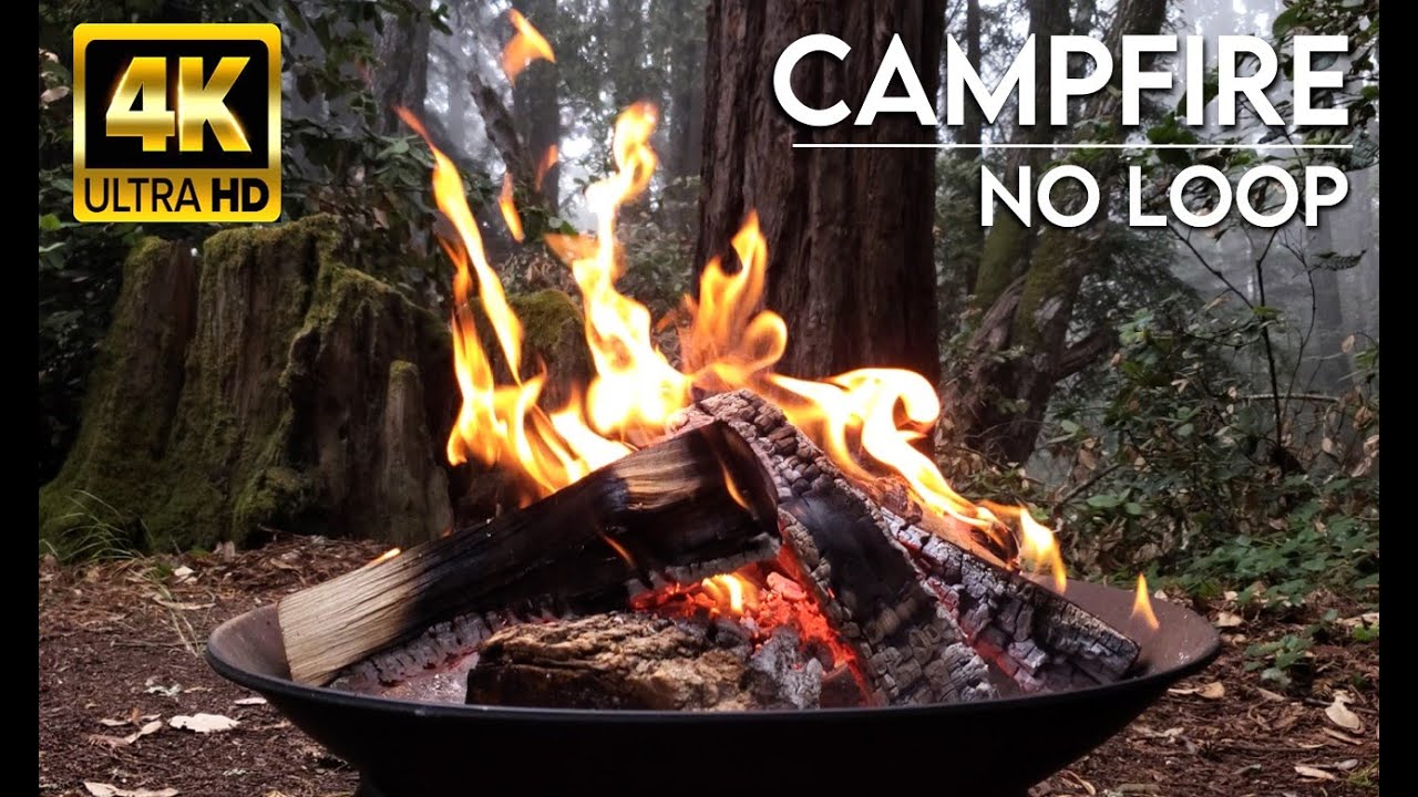 🔥 Relaxing Fireplace. Campfire in the Forest. No Loop, Real Sounds for ...