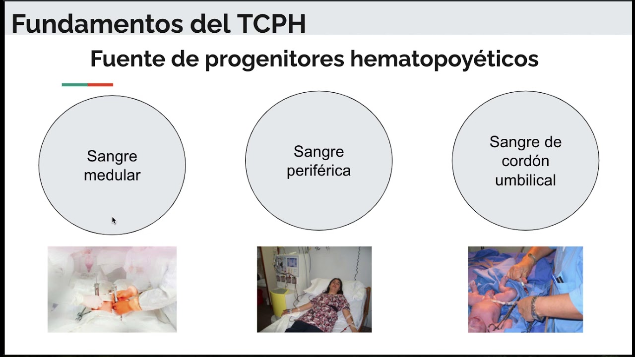 FUNDAMENTOS DEL TCPH - YouTube