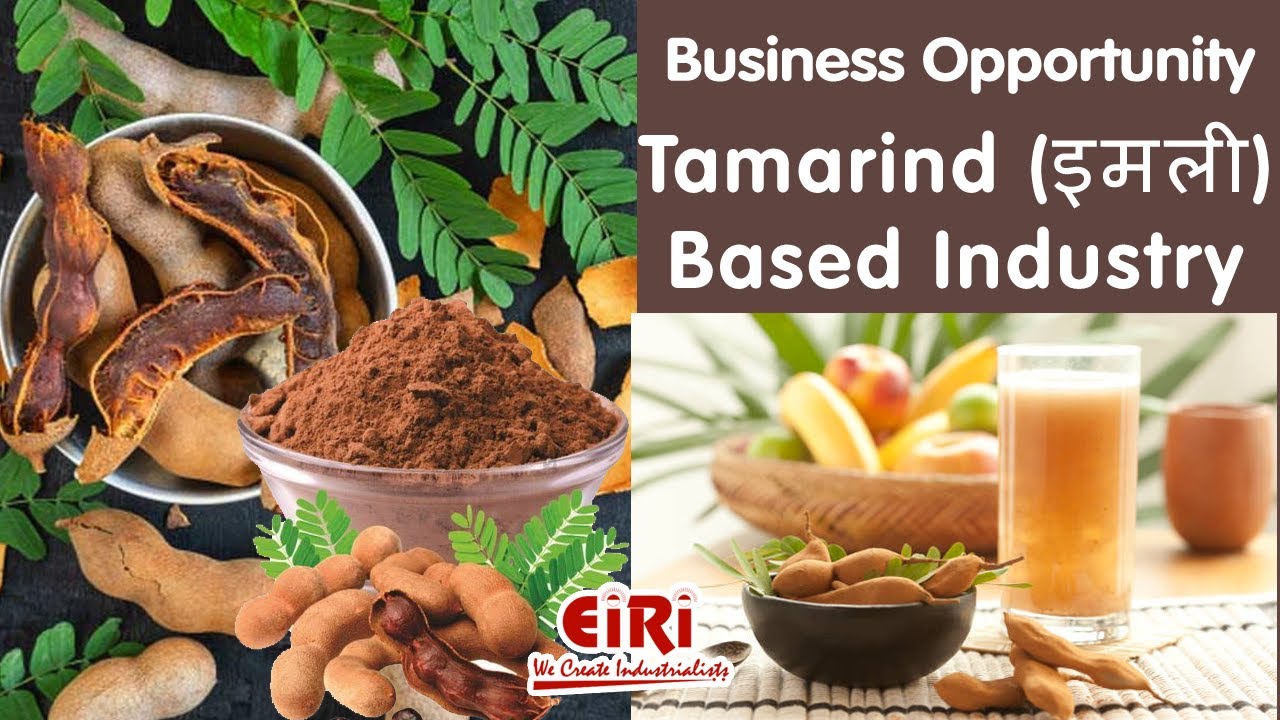 Tamarind Based Industry - Seed Powder - Pulp - Paste - Juice - DPR ...