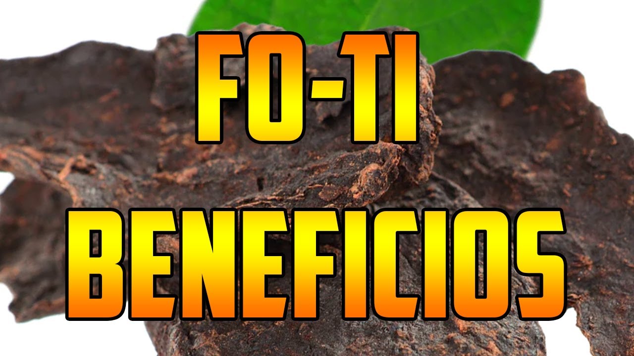 FO-TI #benefits Fallopia multiflora (sin. Polygonum multiflora) #plants ...