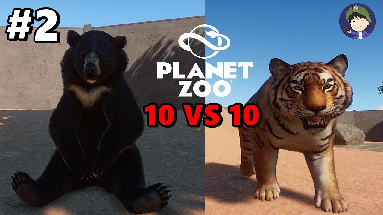 เสือ VS หมีดำ : Planet Zoo #2 (Animal Fight Thailand) - YouTube