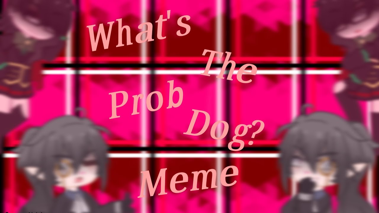 What's The Prob? DOG? MEME (New Here) - YouTube