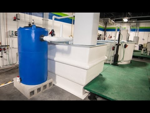 Low Space Bioreactor - PAES W.A.T.E.R. Product Showcase - YouTube