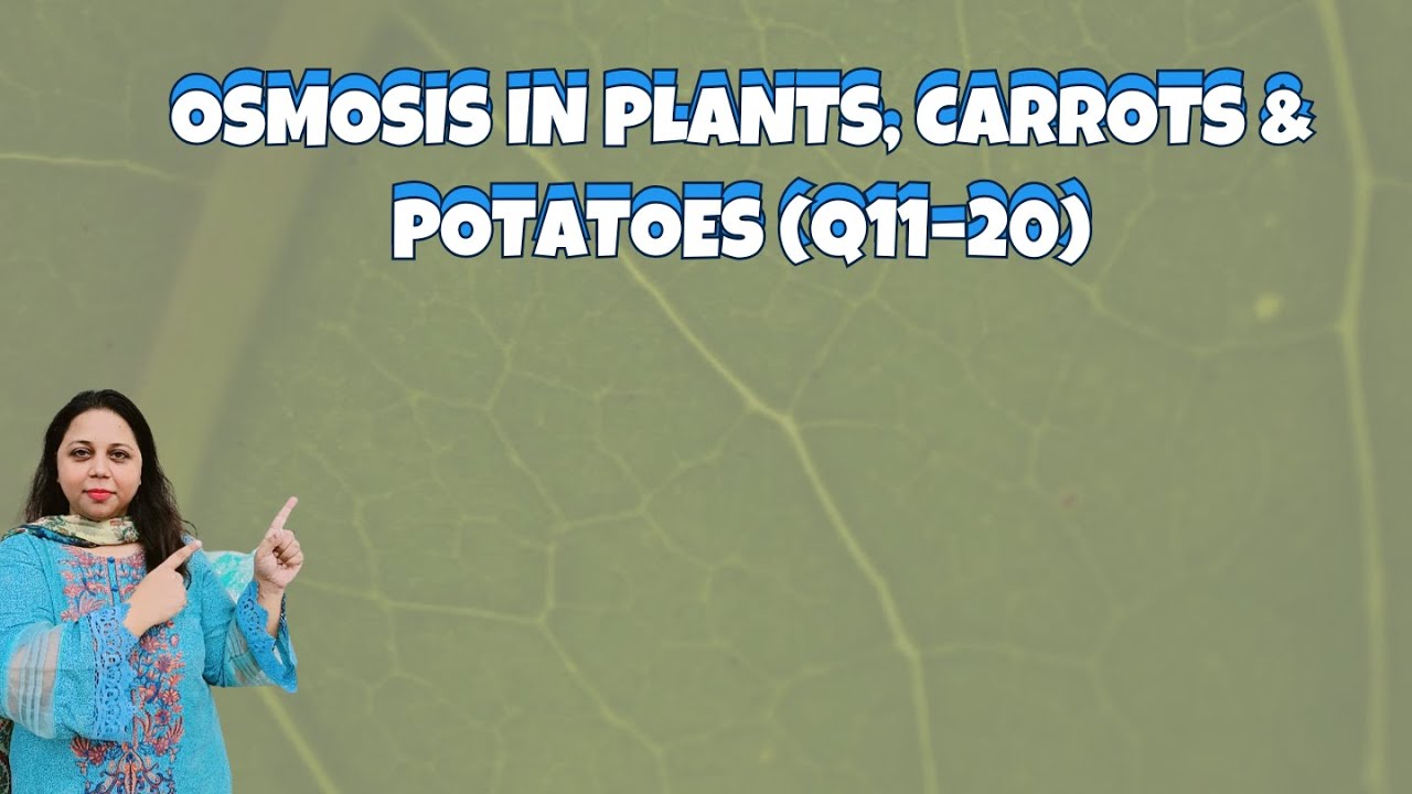 A-Level Biology MCQs Explained: Osmosis in Plants, Carrots & Potatoes ...