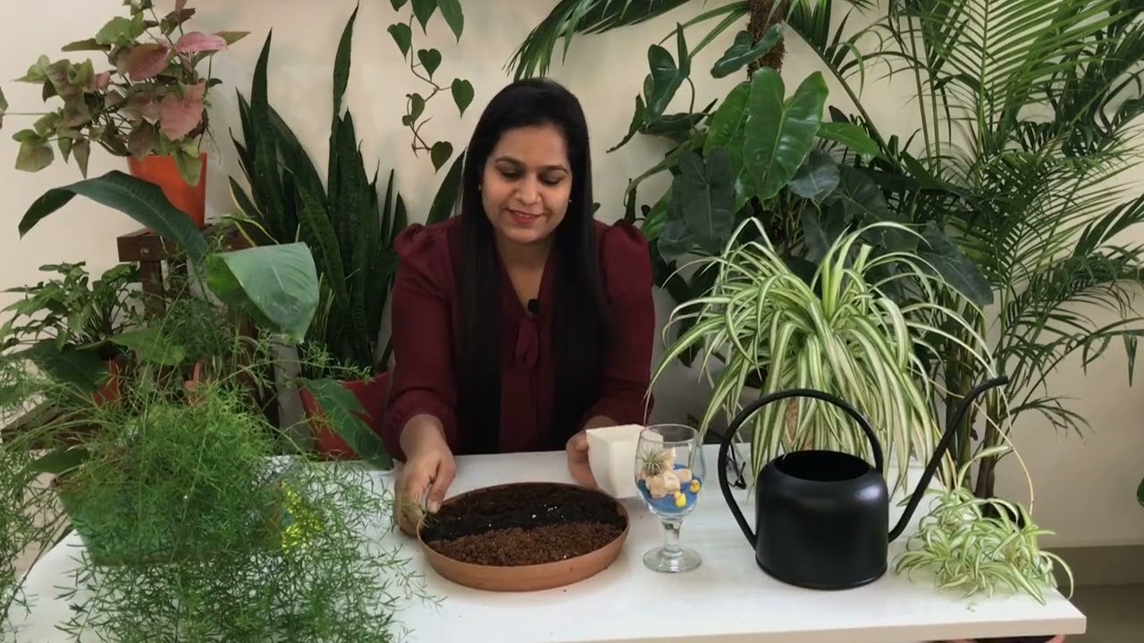 Gardening Workshop video(Basics of Gardening)||Gardening for Beginners ...