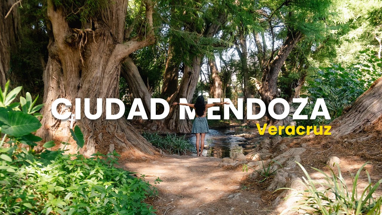 Mirador la Cuesta y Paseo de los Ahuehuetes | Aventúrate México - YouTube