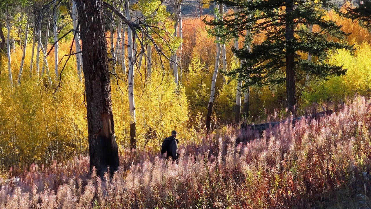 Hiking Beautiful Yellowstone National Park in the Autumn - YouTube