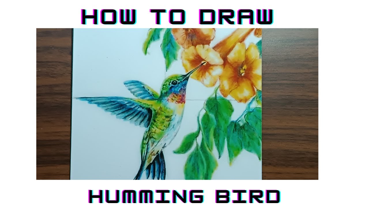 How to Draw Humming Bird | Step by step Drawing Tutorial for beginners ...