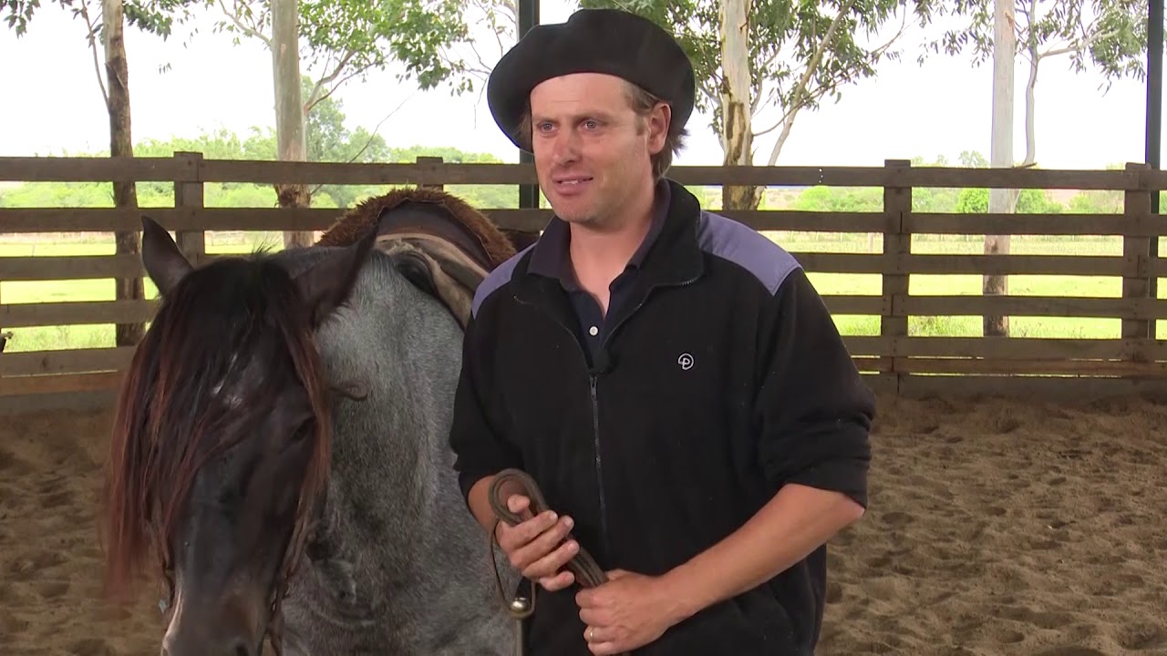 ESCOLA DE MONTARIA Gabriel Marty - YouTube