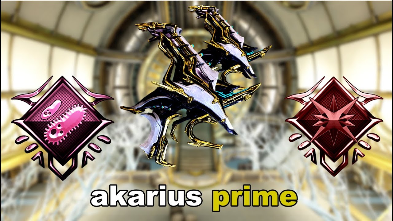 Build Akarius Prime | WARFRAME - YouTube