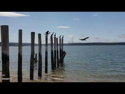 Demet Demirkaya/Eylül ve Şiirler /2020