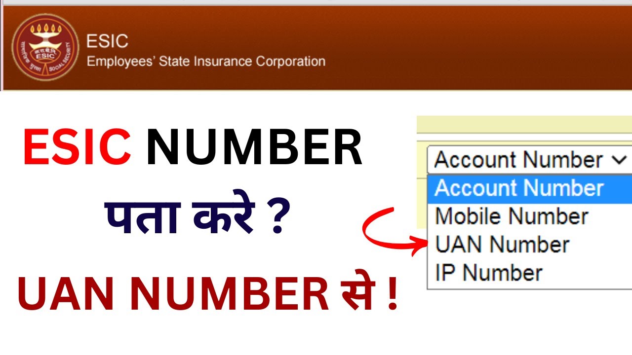 ESIC Number Search By UAN Number ! - YouTube