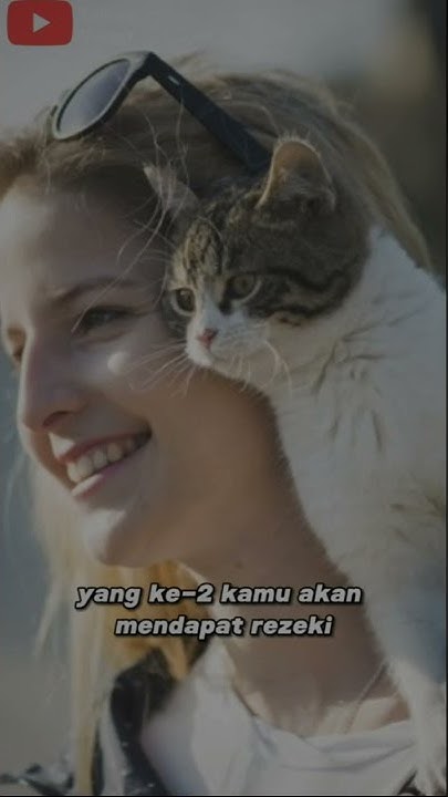 INILAH TANDA BILA KAMU DI DEKATI KUCING - YouTube INILAH TANDA BILA KAMU DI DEKATI KUCING - YouTube