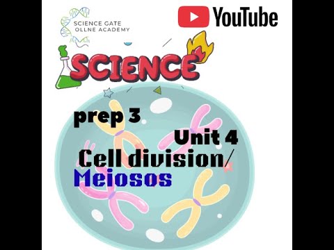 Cell Division Part2 Science prep 3 - YouTube