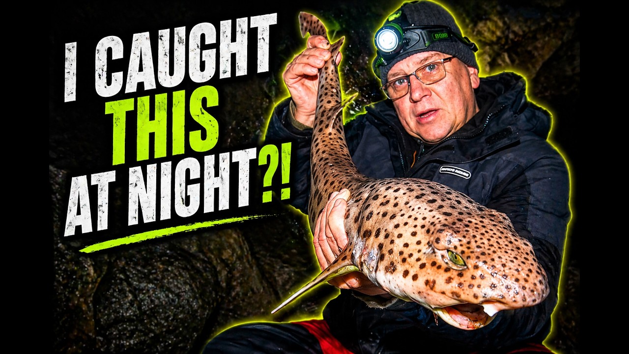 UK Shore Fishing Anglesey | Conger Eel & Bull Huss in Heavy Swell 🌊🎣 ...