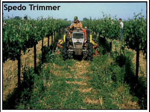 Applying Integrated Weed Management in the Vineyard: Using All Your ...