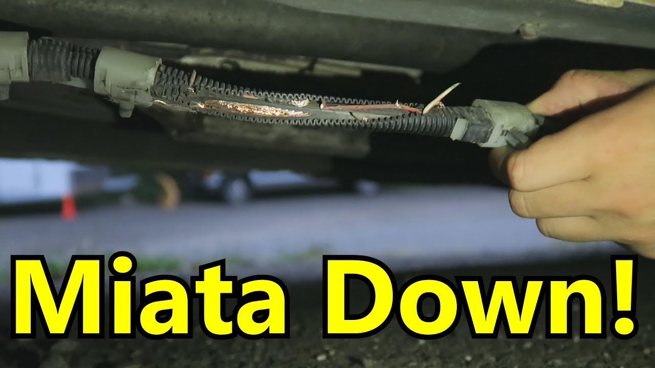 Daily Miata Is Broken! - YouTube