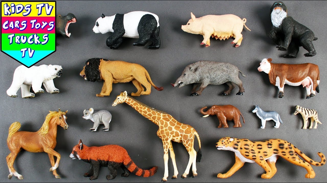 Learn About Animals for Kids With Panda Horse Lion Bear + More Fun Toy ...