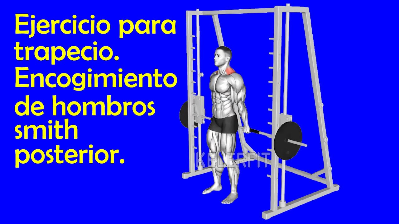Como ejercitar el trapecio con la rutina encogimiento de hombros smith ...
