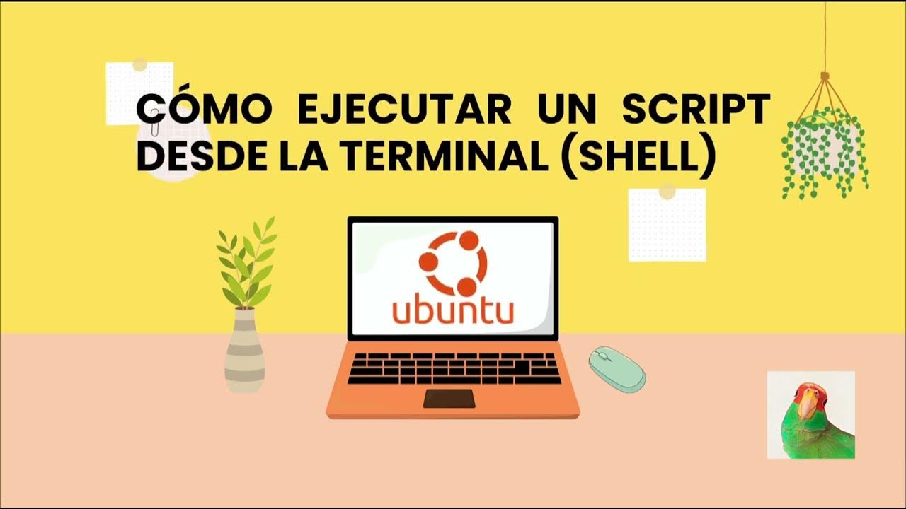 Ejecutar un Script desde terminal (Ubuntu) - YouTube