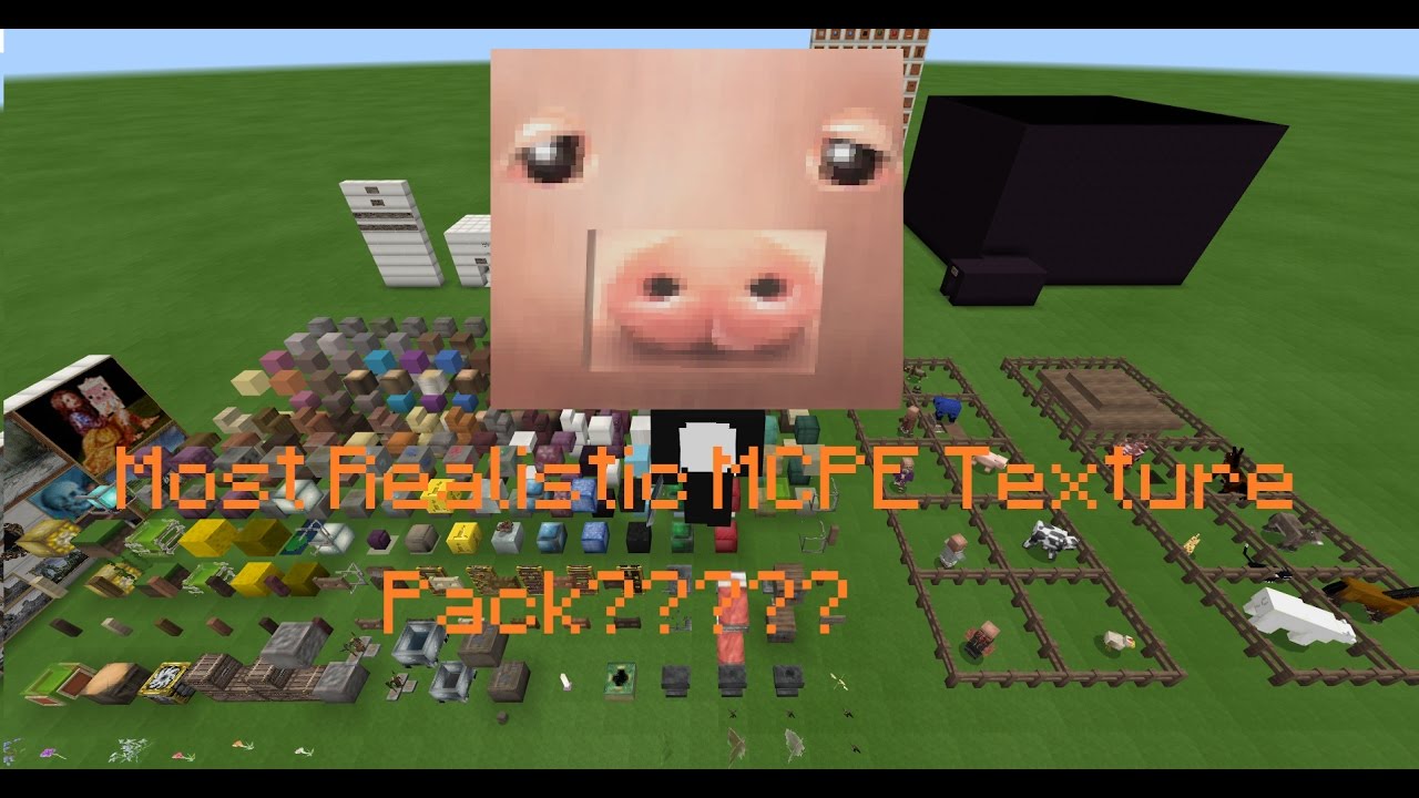 Most Realistic MCPE Texture Pack?!?! - YouTube