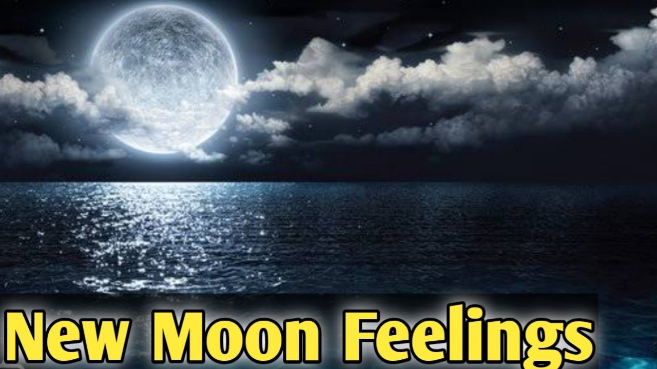 🧿🌙New Moon Feelings ️With Next Action🌿🧿 Timeless Tarot Reading In Hindi ...