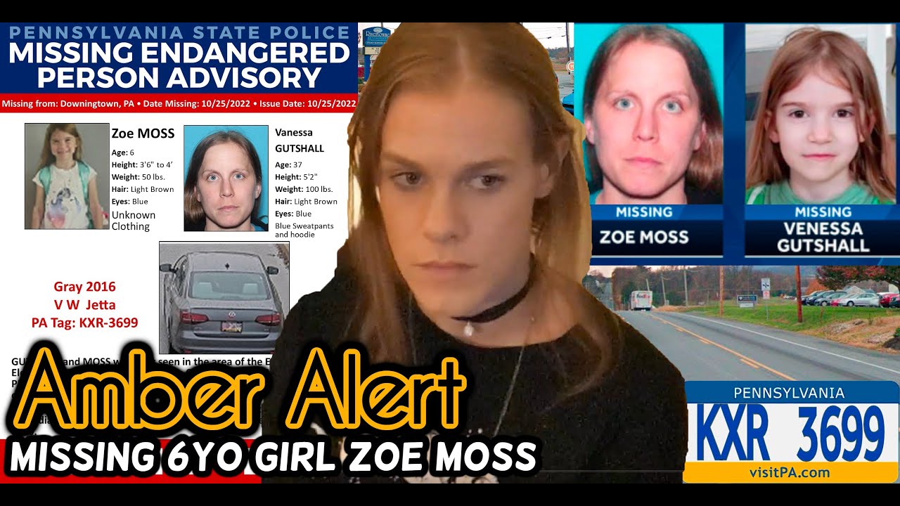 AMBER ALERT - Zoe Moss 6, Abducted During Supervised Visit by Homeless ...