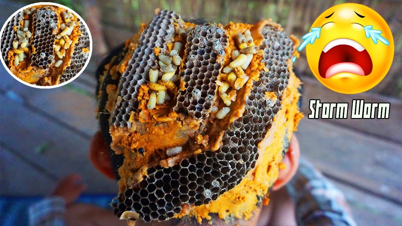 Unbelievable!! Millions Babies Worms In Bee Host Dandruff Flake Catch ...
