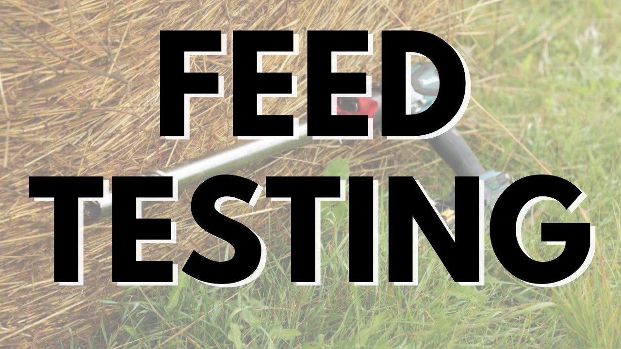 The why, how, when and what next of feed testing - YouTube
